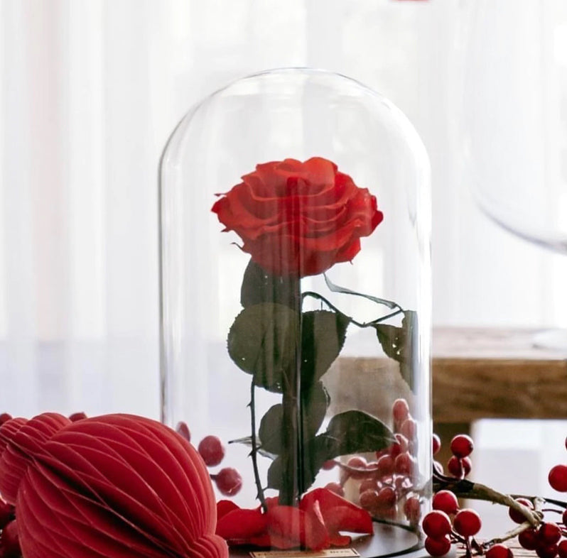 Mini Rose Dome | Enchanted Rose Dome – FLOWER IN A BOX
