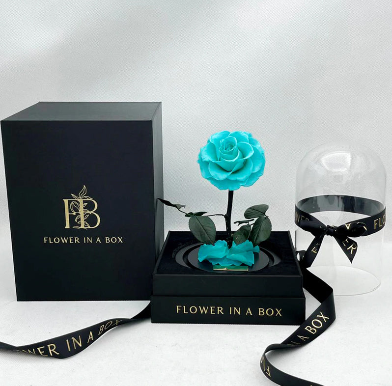 Tiffany Blue Roses | Blue Eternity Rose Dome – FLOWER IN A BOX