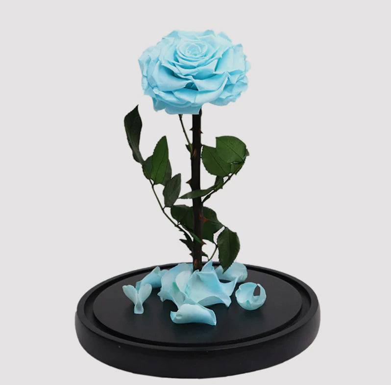 Beautiful Enchanted Forever Roses Australia – FLOWER IN A BOX