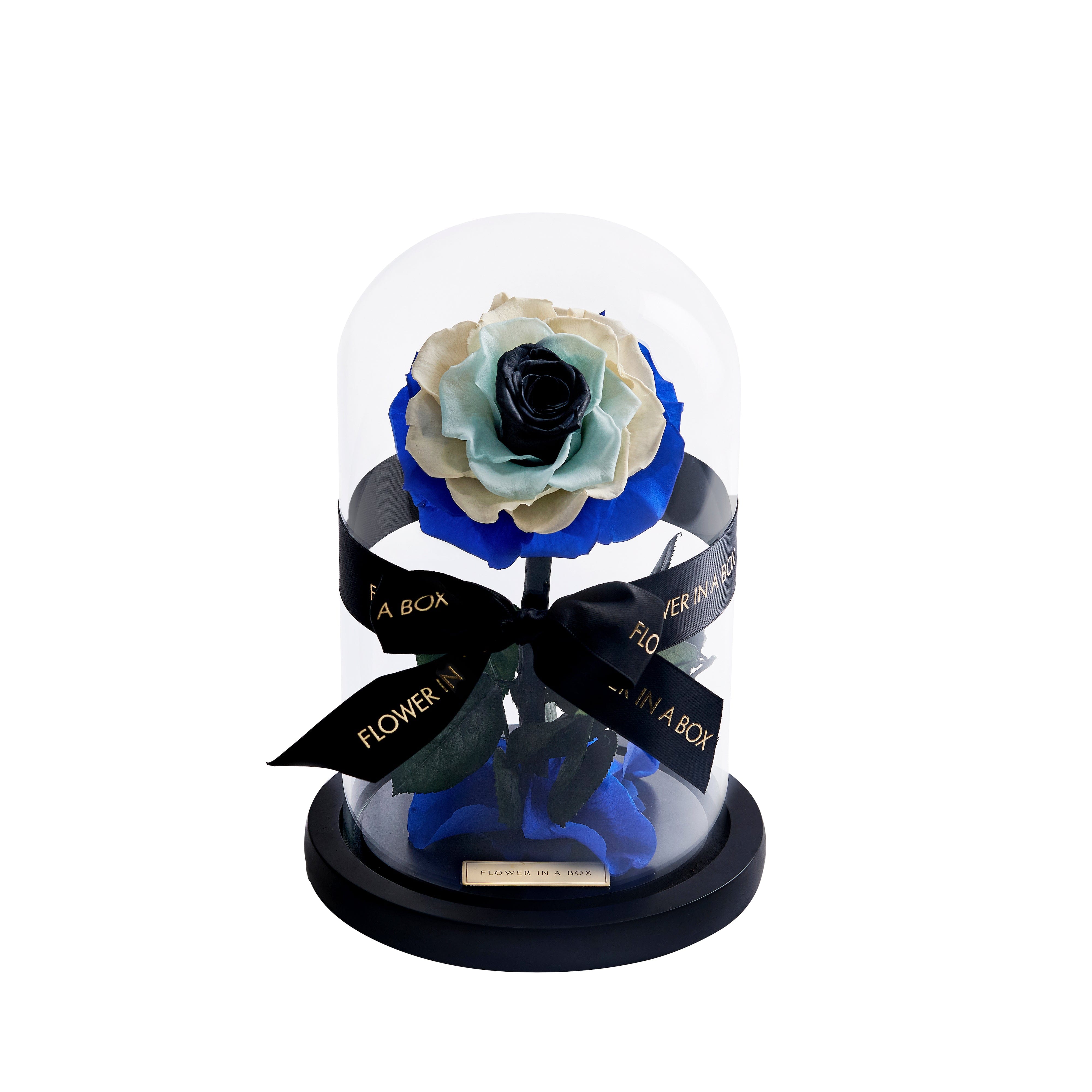 Enchanted Rose Medium - EVIL EYE – FLOWER IN A BOX
