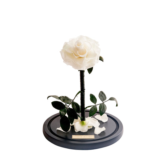 Shop Australia's Favourite Everlasting Roses - Flower In A Box – FLOWER ...