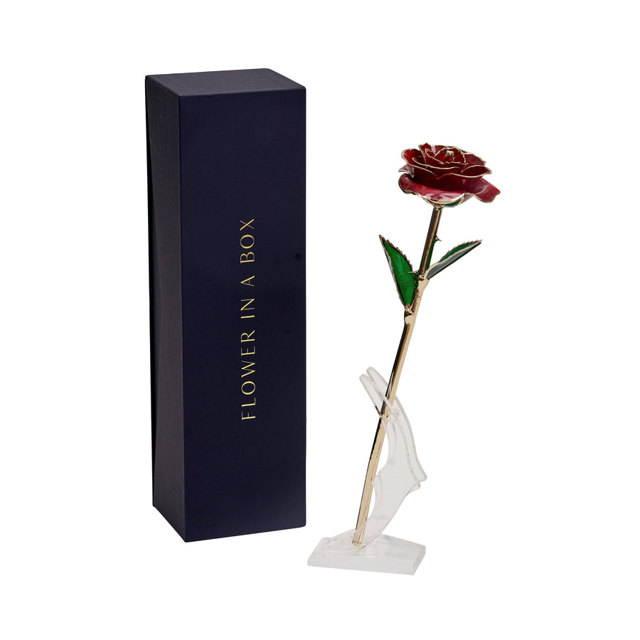 Shop Australia's Favourite Everlasting Roses | Flower in a Box – FLOWER ...