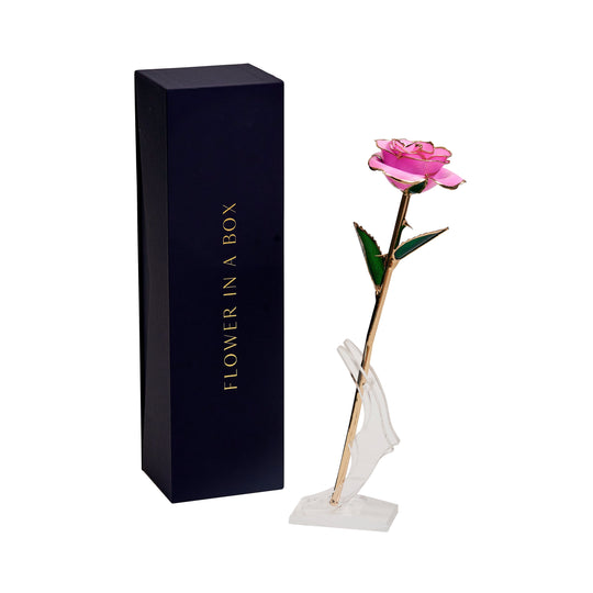 Shop Australia's Favourite Everlasting Roses | Flower in a Box – FLOWER ...