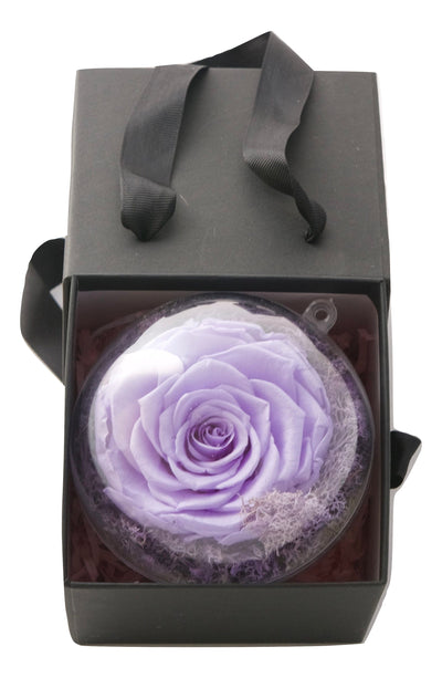 Shop Australia's Favourite Everlasting Roses | Flower in a Box – FLOWER ...