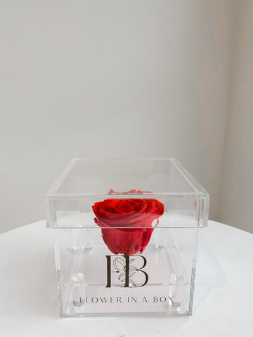 Shop Australia's Favourite Everlasting Roses - Flower In A Box – FLOWER ...