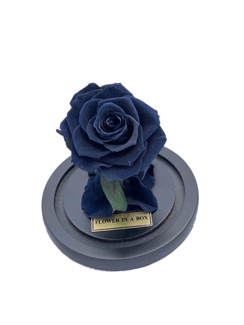 Preserved Rose Dome - Mini Black – FLOWER IN A BOX