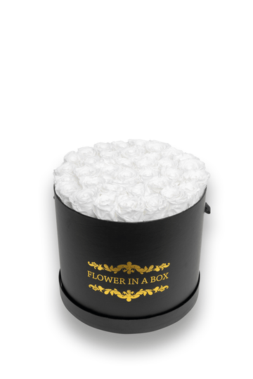 Shop Australia's Favourite Everlasting Roses - Flower In A Box – FLOWER ...